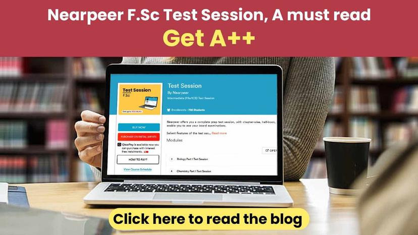 Nearpeer | One Stop Destination For Online Learning In Pakistan